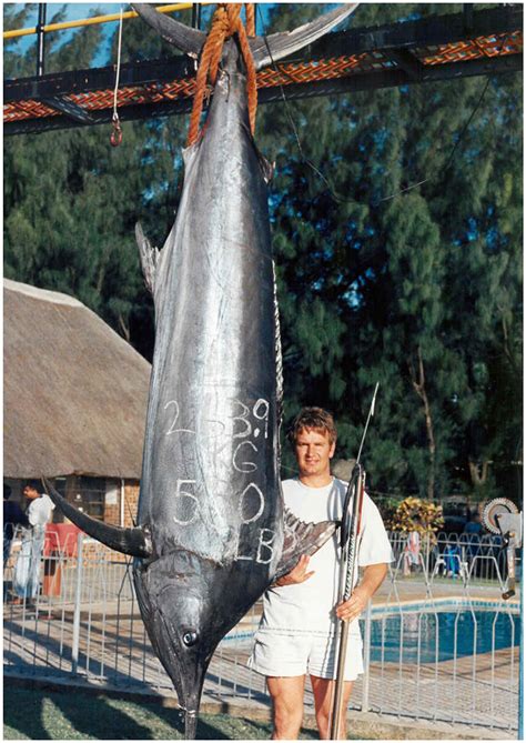 World Record Black Marlin Aussie Crew Lands Massive 1 039 Pound