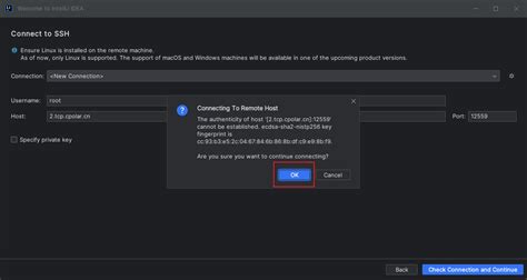 如何在 Idea 中设置远程连接服务器开发环境并实现固定地址远程 Linux 环境idea 连接服务器 Csdn博客