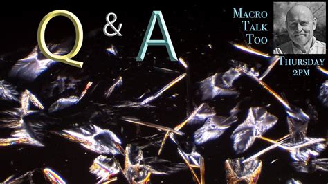qanda the second macro talk too 118 11 14 24 youtube