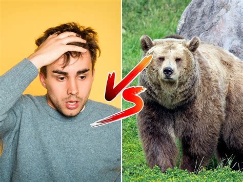 Man Vs Bear Question On Tiktok Proves That Men Are Missing The Point
