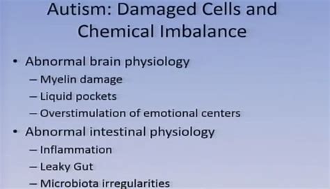 Dr Gary Samuelson Ph D 2016 Autism One Conference