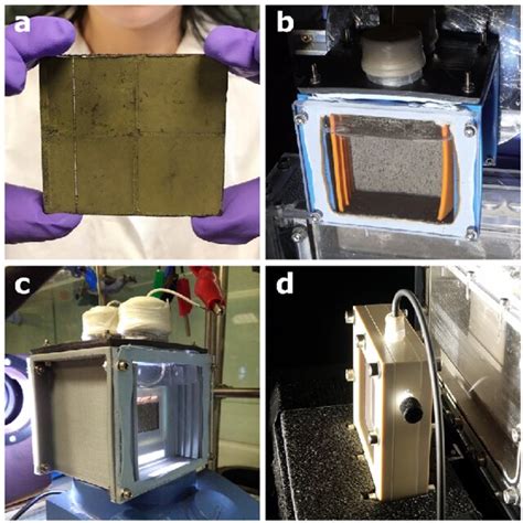 Erwin Reisner University Lecturer And Head Of Christian Doppler