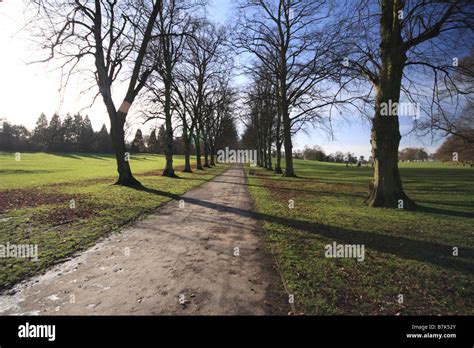 Tree Lined Path Through Park Stock Photo Alamy