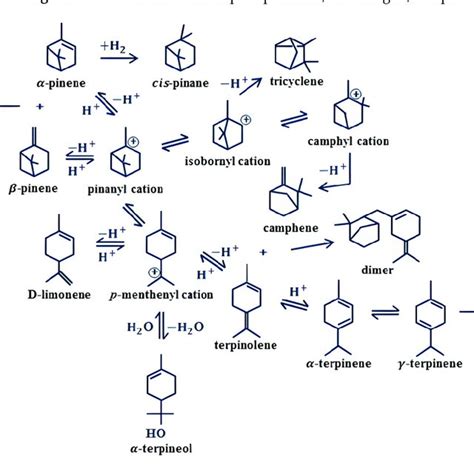 Reaction Pathway Scheme For The Transformation Of α Pinene And β Pinene Download Scientific