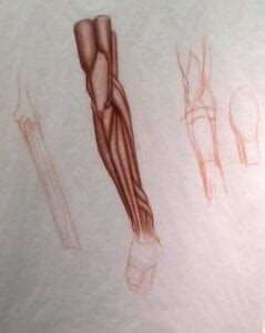 Lecture Demo Drawings Robert Armetta A Painter And Teacher Of Contemporary Figurative Realism