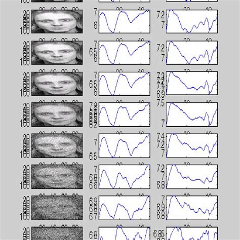 Effect Of Noise On The Proposed Feature A Orl Face Sample Corrupted