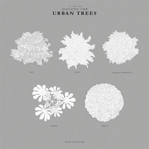 Cad Trees In Plan And Elevation 56 Trees Artofit