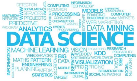 analyze data and derive actionable insight by sam frlncr fiverr