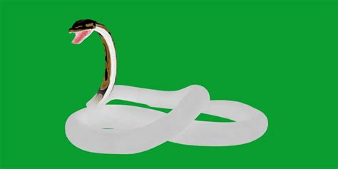 Panda Pied Ball Python Flippednormals