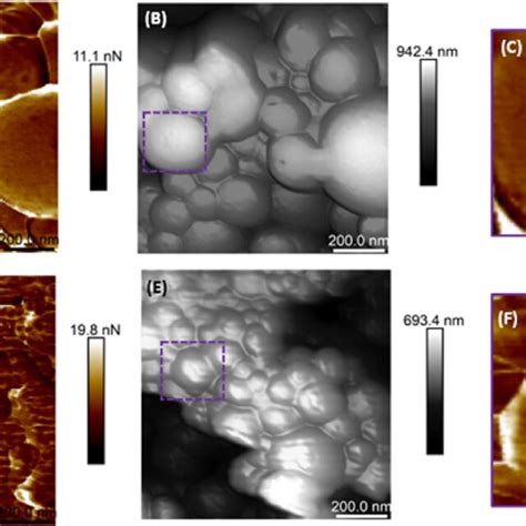 Adhesion Force Map A And Corresponding Height Image Of Download