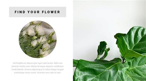 Find Your Flower CSS Template By Nicepage