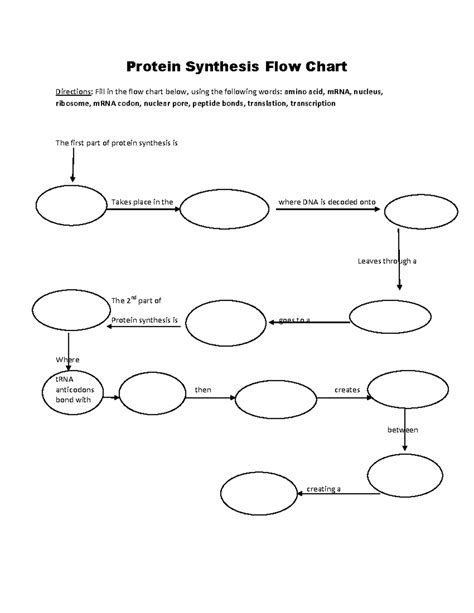Protein Synthesis Flow Chart At Carolyn Lafleur Blog