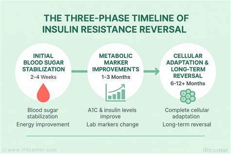 How Long Does It Take To Reverse Insulin Resistance Dr Babak Clinic