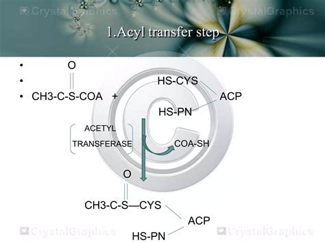 Multi Enzyme Complex Pptx