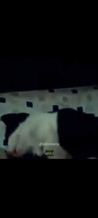 Princesito 😂 Youtube