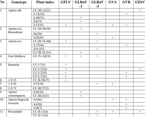 Results Of Serological Tests Elisa And Isem Download Scientific Diagram