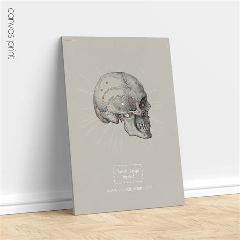 Cranial Bones Lateral Educare Design