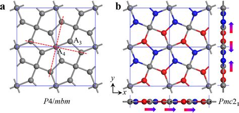 Basic Pattern For Inducing In Plane Polarization In Pentagonal Sheet A