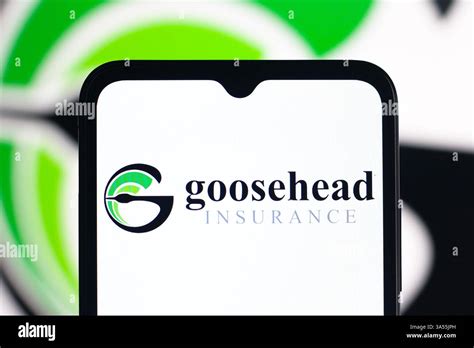 In This Photo Illustration The Goosehead Insurance Logo Is Seen