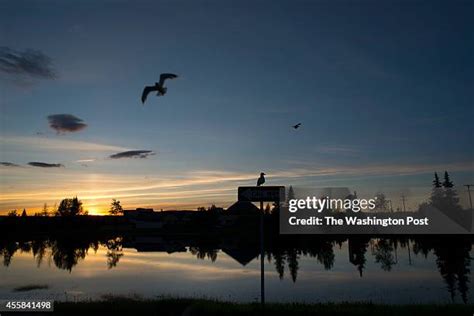 Wainwright Ak Photos And Premium High Res Pictures Getty Images