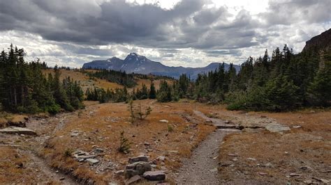 Day 7 2018 09 17 Swiftcurrent Pass Hike Up And Away