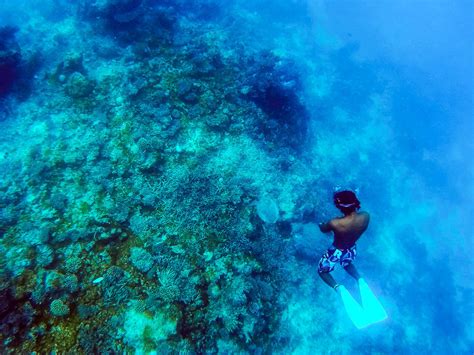 Maldives Snorkeling The Unbelievable Underwater World