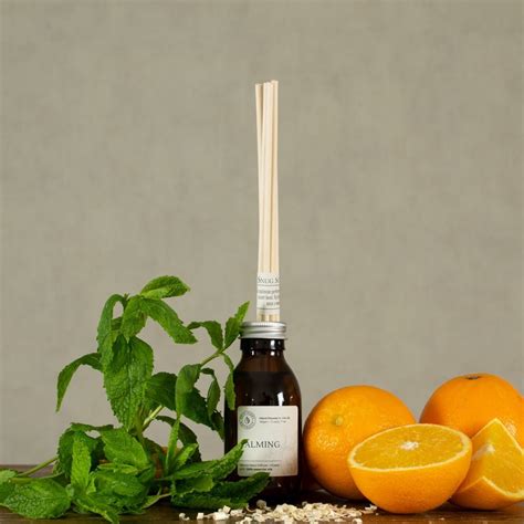 Non Toxic Reed Diffusers At Leo Stonham Blog