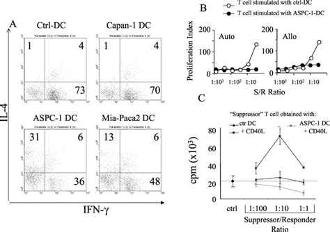 T Cell Polarization By Dc Cocultured With Cancer Cells And Generation