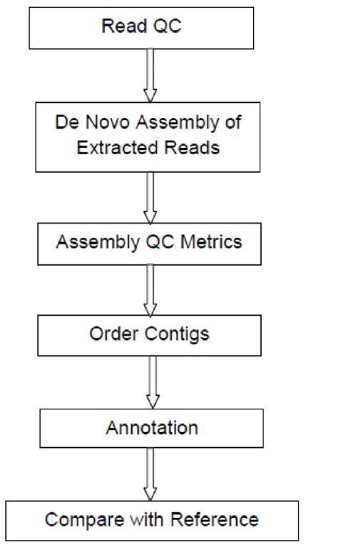 Steps In Ngs Data Analysis Download Scientific Diagram