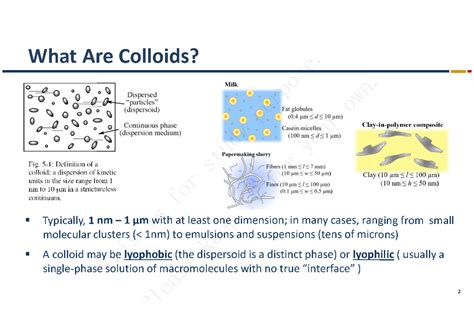 Colloids And Surface Charges Properties And Stability Analysis Studocu