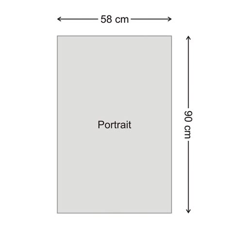 Hookworm Chart Zoology Lab Charts