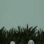 Grove Of Forever Tumblr Com Tumbex