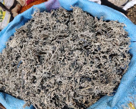 Light Greenish Black Stone Flower Pathhar Ka Fool Dagad Phool Rs 600 Kg Id 23137619991