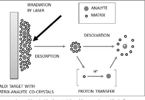 figure 1 from solid mixed matrices and their advantages in matrix