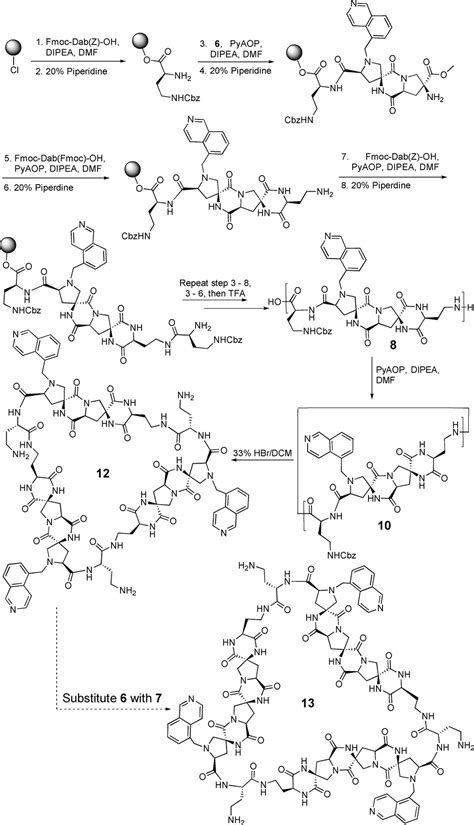 Spiroligomer‐based Macrocycles For Atomically Precise Membranes Xie 2023 Angewandte Chemie