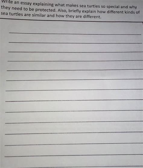 solved write an essay explaining what makes sea turtles so special and