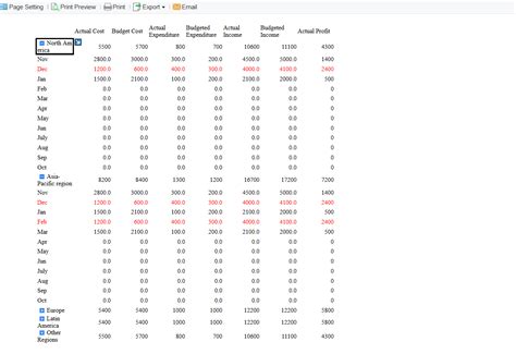 Detailed Report Finereport Help Document