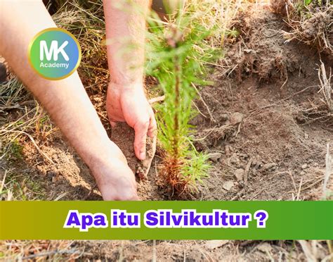 Apa Itu Silvikultur Mk Training