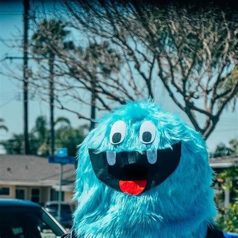 The Gobbler On Instagram Gobby Be Down Here Living How He Wants R