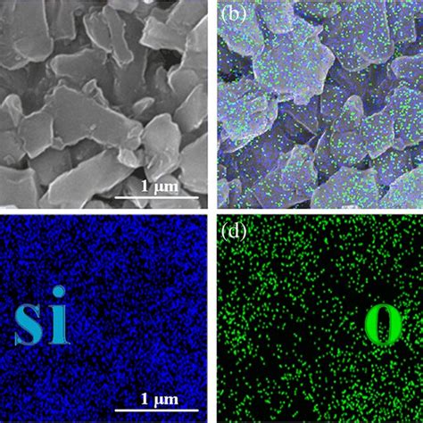 Sem Image Atomic Percentage And Element Diagram Of The Selected