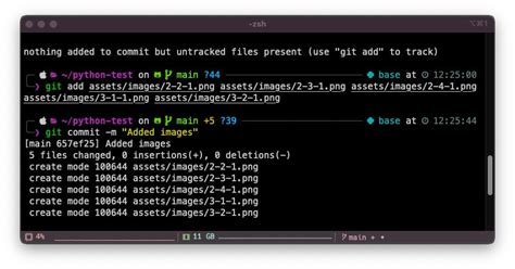 如何清除卡住的 GitHub 推送 github Mangs Python