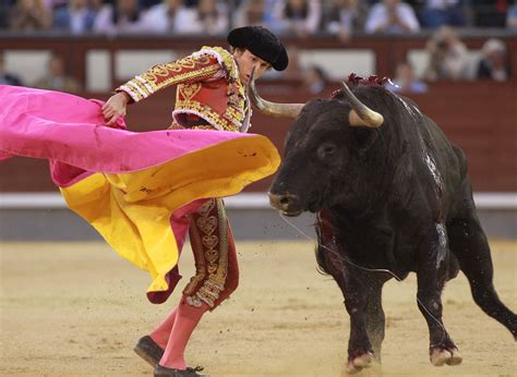 Spanish Matadors