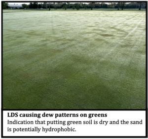 May 29 2023 Attention To Summer Disease Prevention Purdue