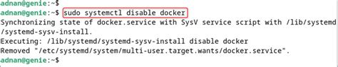 How To Install Docker On Debian 12 Linux Genie