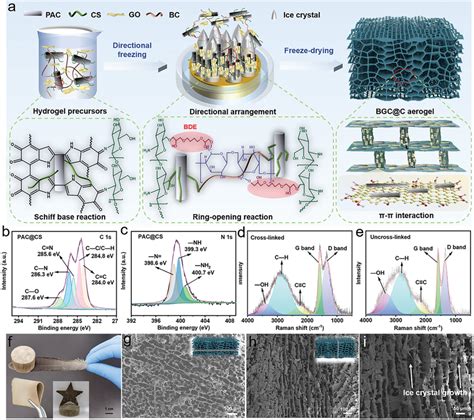 a schematic illustrations of the fabrication process interfacial