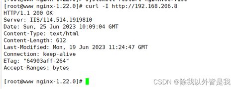 【简单认识nginx服务性能与安全优化】 浏览器60s超时 csdn博客