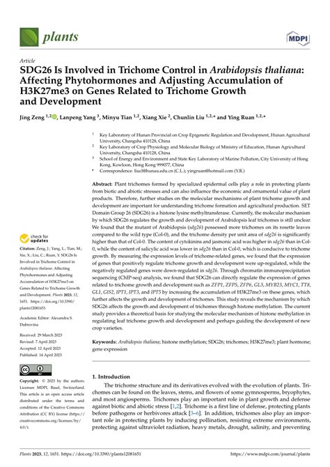 Pdf Sdg26 Is Involved In Trichome Control In Arabidopsis Thaliana Affecting Phytohormones And