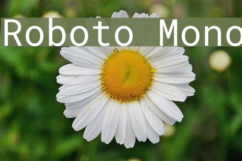 Roboto Mono Font