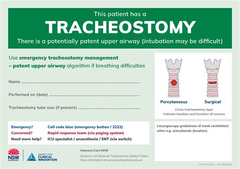Safe Trach Airway Diagram Tracheostomy