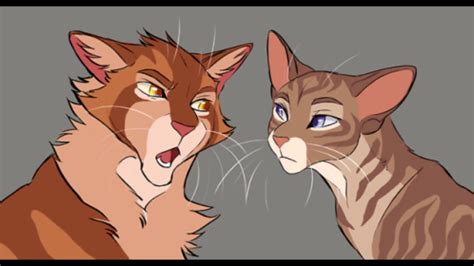 My Top Ten Windclan Cats Youtube